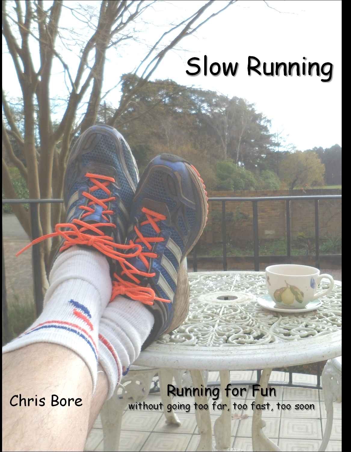 Top Books on Slow Jogging, Running & Heart Rate Training
